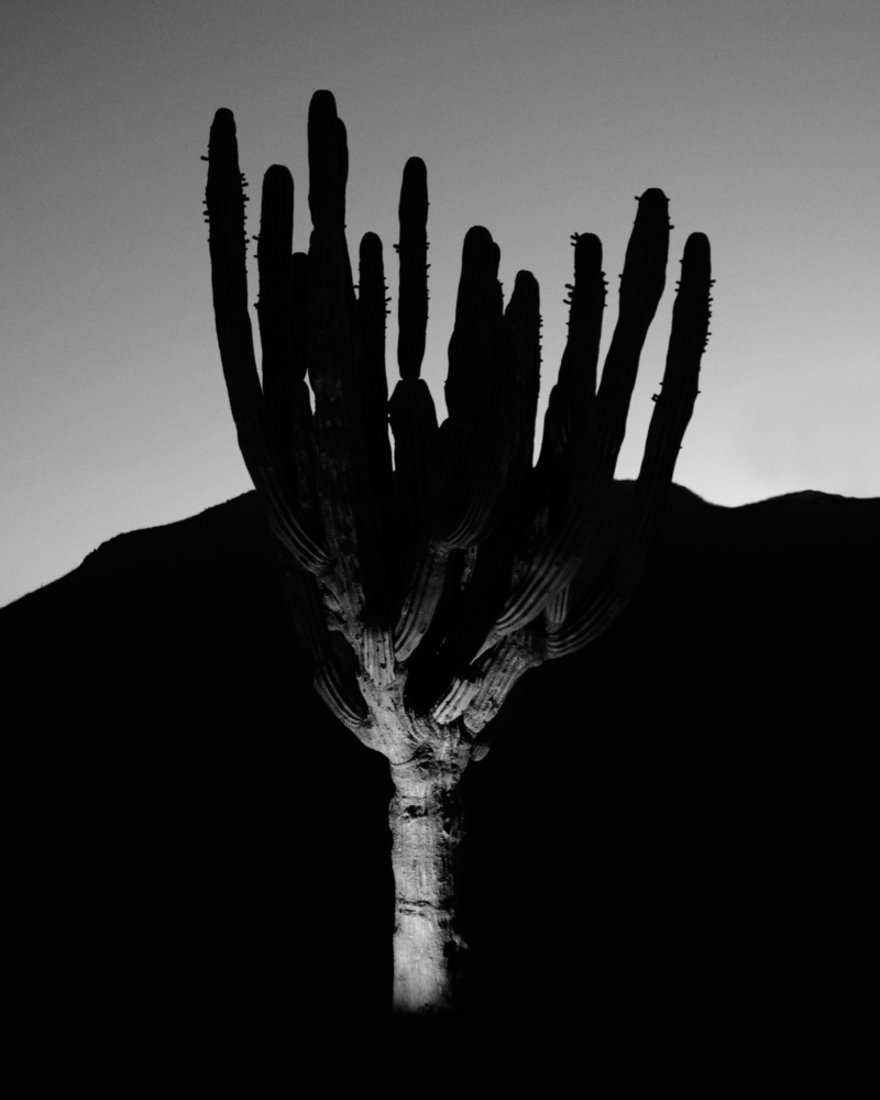 Architecture as a Muse. The Photography of Alex Lesage — Studio Fenice